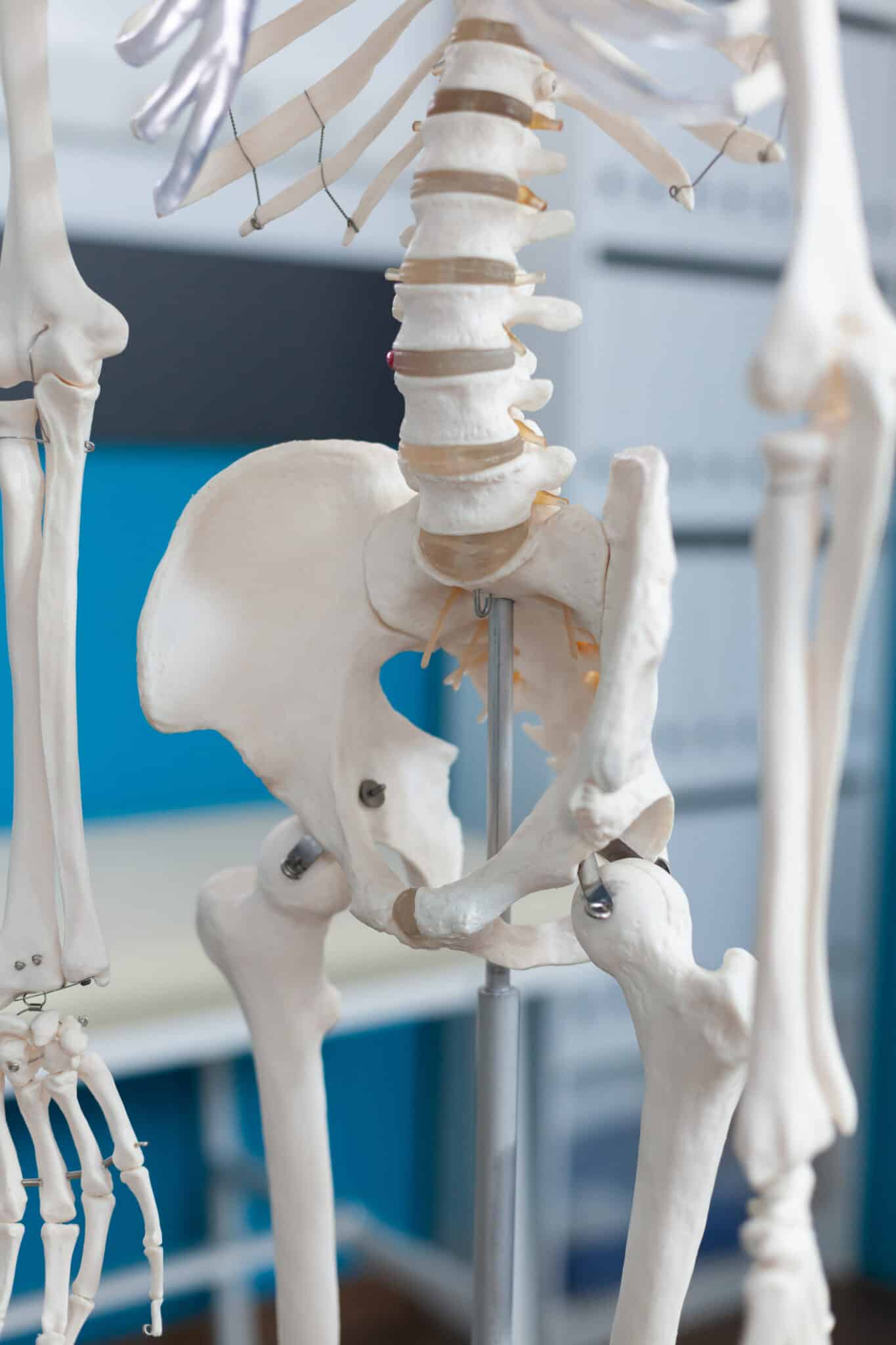What is Sacroiliac Joint Dysfunction | Princeton Orthopaedic Associates